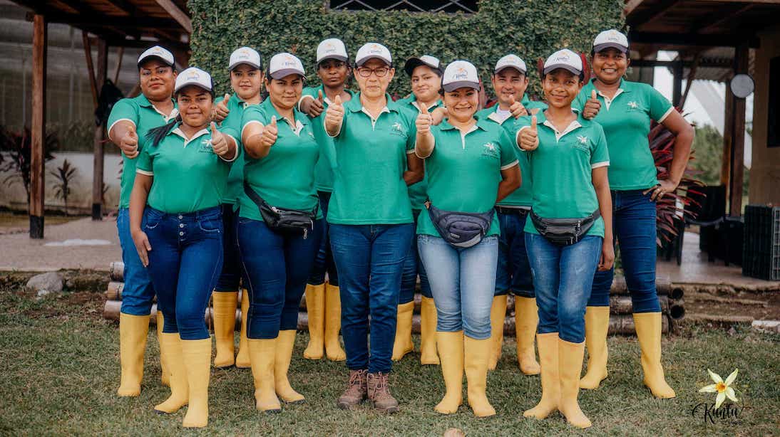 Kuntu Vanilla - very high quality Tahiti vanilla beans "Tahitensis ...